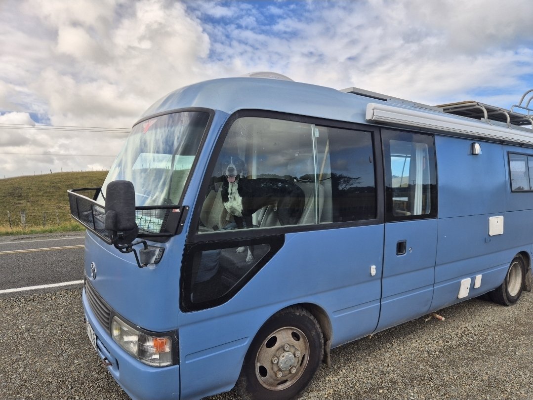 Toyota Coaster 1hdt max boosts - Tech Talk - oldschool.co.nz
